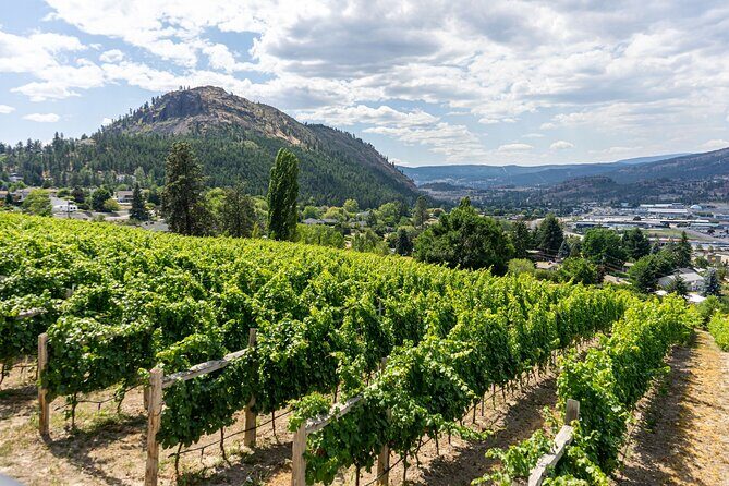 5 Day Okanagan Wine Tour by Minibus - What Travelers Are Saying