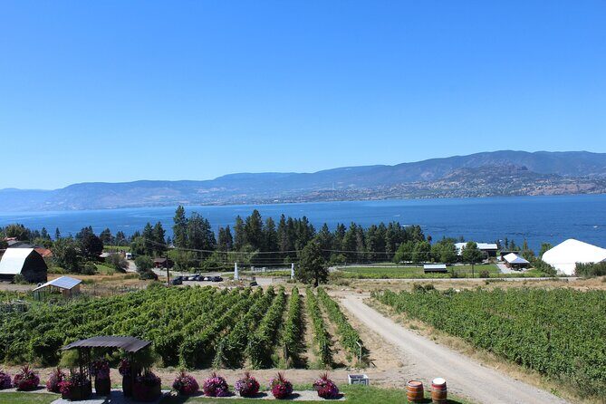 5 Day Okanagan Wine Tour by Minibus - Analyzing Value: Is It Worth the Price?