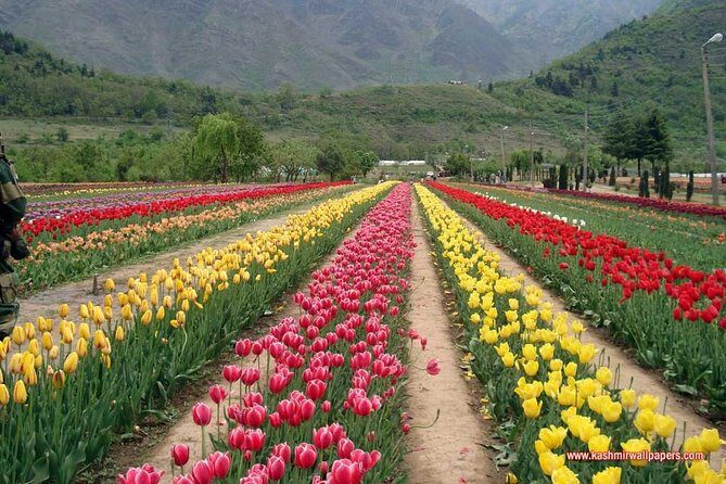 5 Day Paradise Kashmir Tour - Exploring the Itinerary in Detail