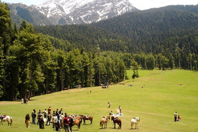 5 Day Paradise Kashmir Tour - FAQ