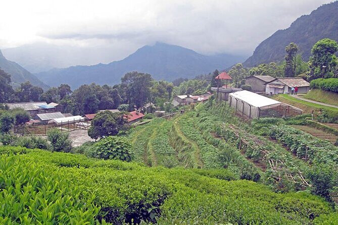 5-Day Private Farming Experience in Nayapul with Accommodation - What’s Included and Whats Not