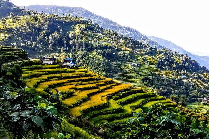 5-Day Private Farming Experience in Nayapul with Accommodation - FAQ Section