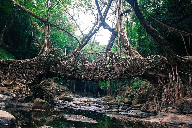 5-Day Private Tour in Meghalaya with Meals and Accommodation - Key Points