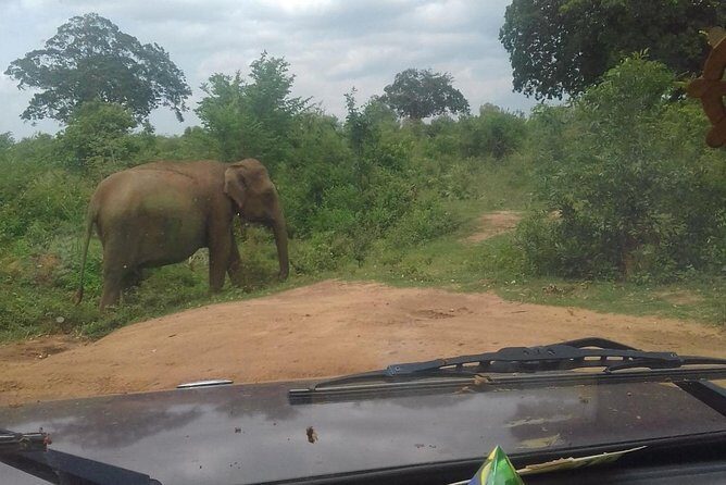 5 Day Private Tour Sri Lanka - Day 2: Spice Gardens, Botanical Gardens, and the Temple of the Tooth