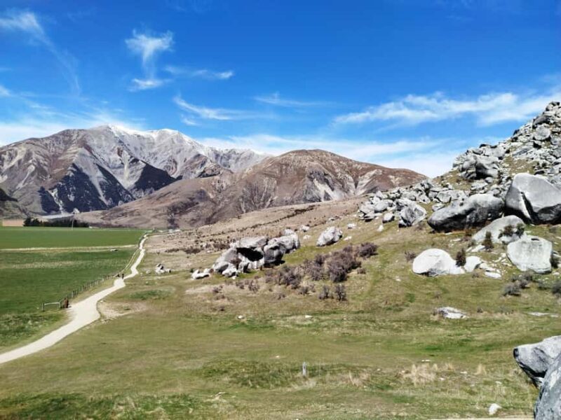 5 Day South Island NZ Tour from Dunedin to Christchurch - Why This Tour is a Great Choice