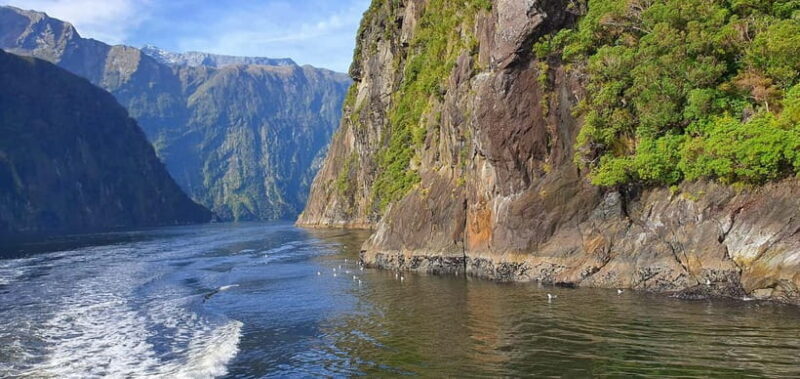 5 Day South Island NZ Tour from Dunedin to Christchurch - Who Should Consider This Tour?