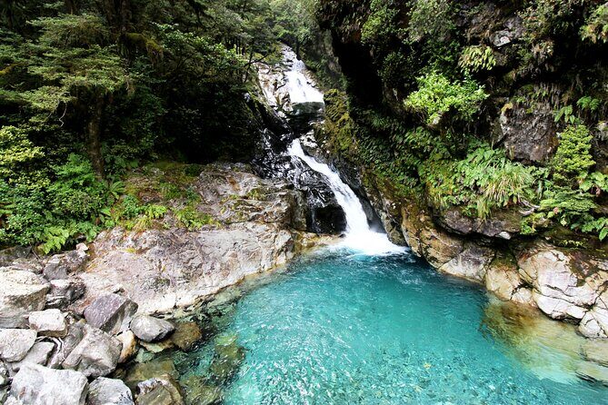 5 Day South Island Tour from Queenstown including Stewart Island - Final Thoughts: Is It Worth It?