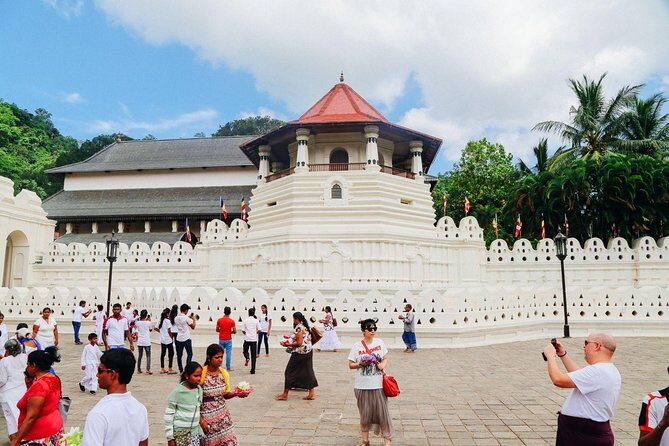 5-Day Sri Lanka Central Highlands Tour - What’s Included and What’s Not?