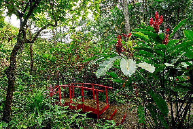 5 Day St Lucia Adventure Soufriere Pigeon Island Marigot Bay - The Sum Up: Is This Tour Worth Considering?