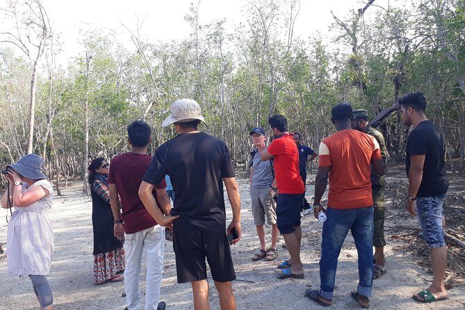5-Day Sundarban Tour: The Wild Life Adventure - What Travelers Say