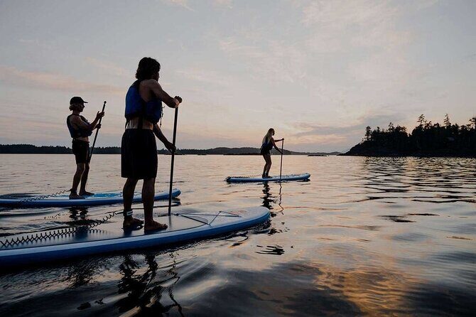 5 Day Tofino Yoga and Wellness Retreat with a Side of Adventure - In The Sum Up