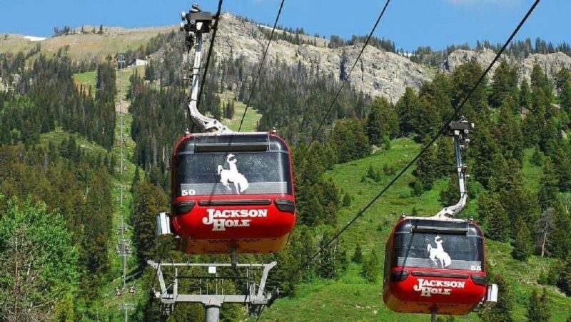 5-Day Tour: LA, Vegas, Antelope Canyon & National Parks - What Are the Potential Drawbacks?