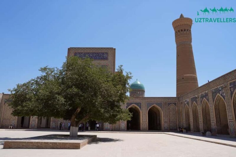 5-Day Tour: Tashkent - Khiva - Bukhara - Samarkand - Authentic Experience and Guided Insights