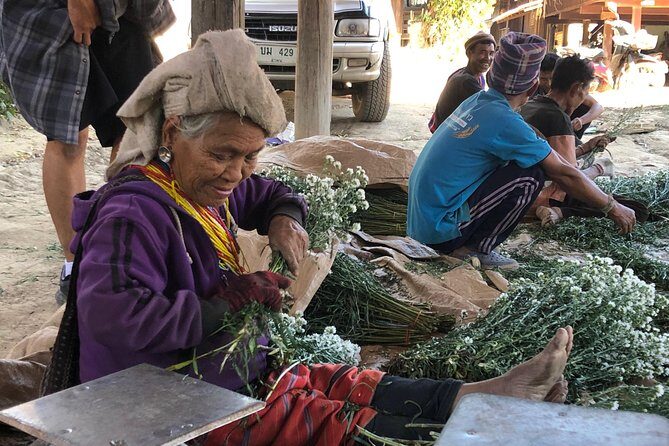 5 Day Tuk Tuk Adventure in Chiang Mai - with driver - Potential Drawbacks or Considerations