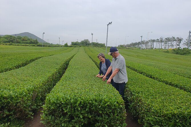 5 day western Korea tour(Jeonju, Yeosu, Suncheon, Gongju & etc) - Key Points