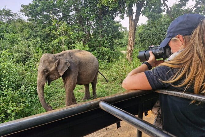 5 Day Wildlife Safari Tour in Sri Lanka - Key Points