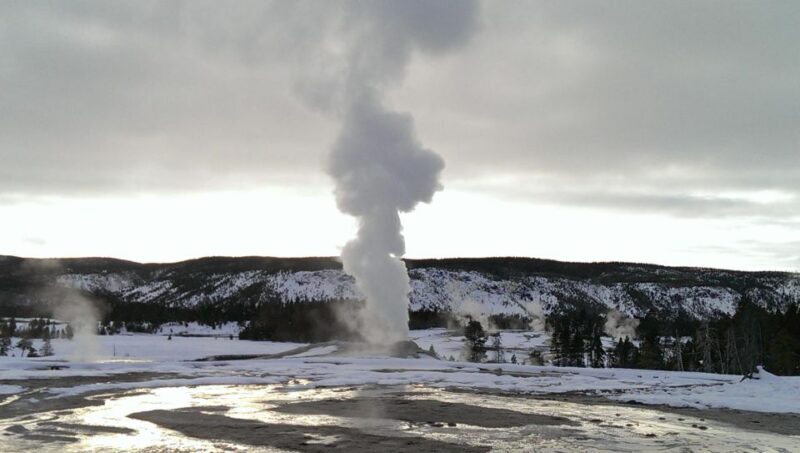 5-Day Winter Yellowstone Wildlife Tour - The Essence of the Tour: What Youll Experience