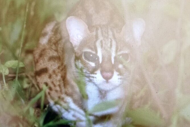 5 Day's 4 Night's jungle Tour trekking in Bukit Lawang - Final Thoughts