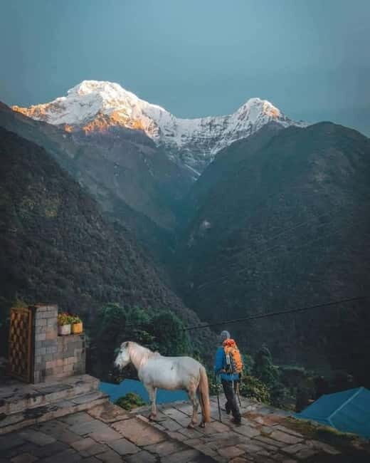 5 Days Annapurna Base Camp Trek - Authentic Encounters and Unique Features