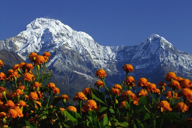 5 Days Annapurna Base Camp Trek - What Travelers Say About This Experience
