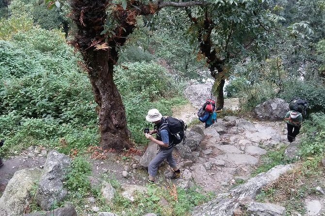 5 Days Annapurna base camp trek from Pokhara - Key Points