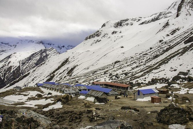 5 Days Annapurna base camp trek from Pokhara - The Details: What to Expect on the Trek