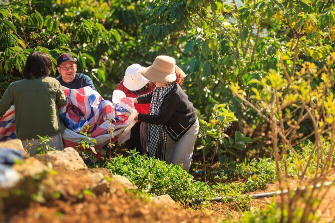 5 Days Authentic Dalat Coffee Farm & Hiking Experience - Exploring the Itinerary in Detail