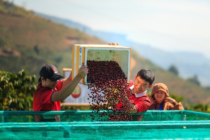 5 Days Authentic Dalat Coffee Farm & Hiking Experience - Who Will Appreciate This Tour?