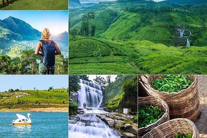 5 DAYS BUDGET TOUR package in Sri Lanka - Final Thoughts: Is This Tour for You?