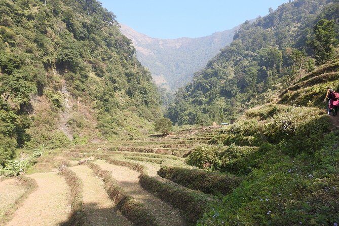 5 Days Chepang Hill Trek From Kathmandu - Authentic Experiences & What Travelers Say
