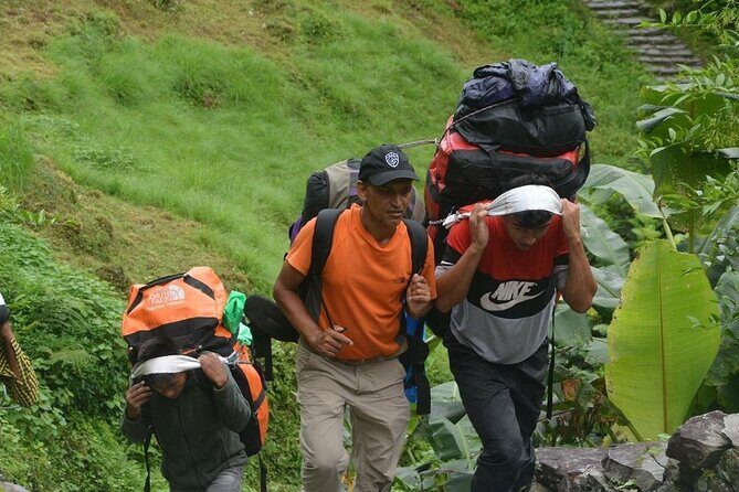 5 Days Ghorepani Poonhill Trek - A Day-by-Day Breakdown of the Trek