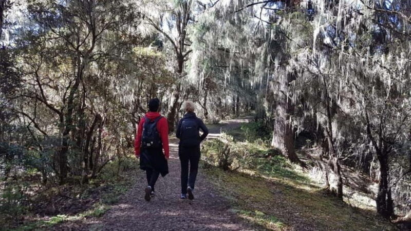 5 Days Glimpse of Bhutan - The Pros and Cons