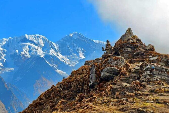 5 Days Glorious Mardi Himal Base Camp Trek from Kathmandu - A Detailed Look at the Mardi Himal Trek