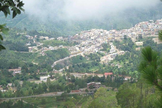 5 Days Golden Triangle Tour - Authentic Experiences and Tips