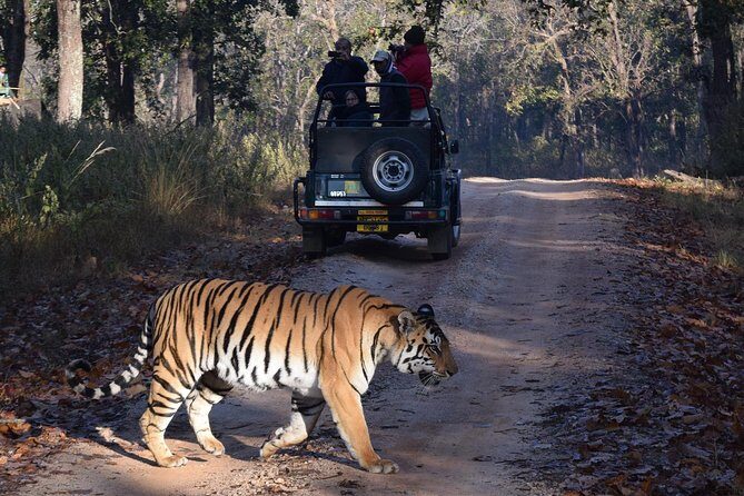 5 Days Golden Triangle Tour with Ranthambore - Practical Considerations and Tips