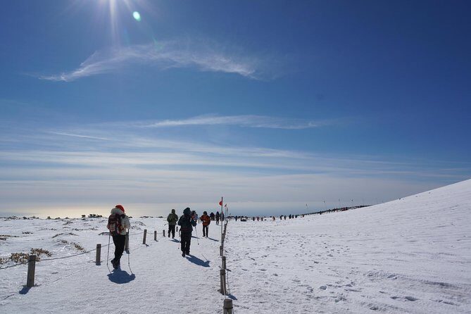 [5-days Jeju] Private Customized Hiking(Hallasan & Olle Course) with Mountaineer - Key Points