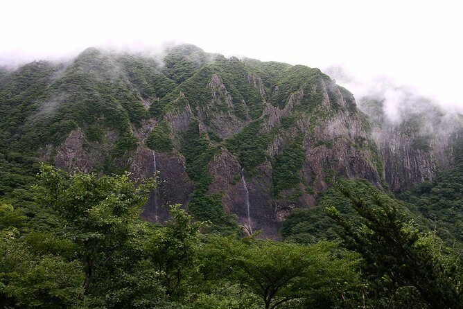 [5-days Jeju] Private Customized Hiking(Hallasan & Olle Course) with Mountaineer - Who Should Consider This Tour?
