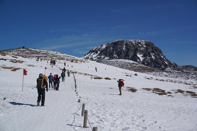 [5-days Jeju] Private Customized Hiking(Hallasan & Olle Course) with Mountaineer - The Sum Up