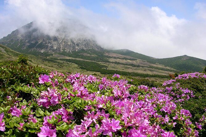 [5-days Jeju] Private Customized Hiking(Hallasan & Olle Course) with Mountaineer - FAQ