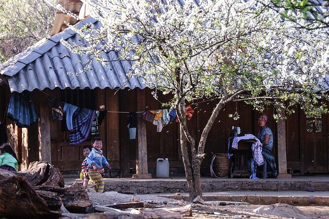 5 Days Karst Plateau Geopark Tour from Hanoi - The Practicalities and Value