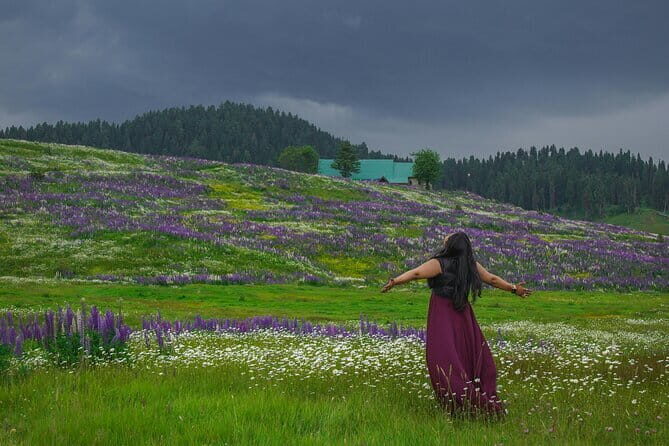 5 Days Kashmir Beauty Tour with Accommodation and Transport - Key Points