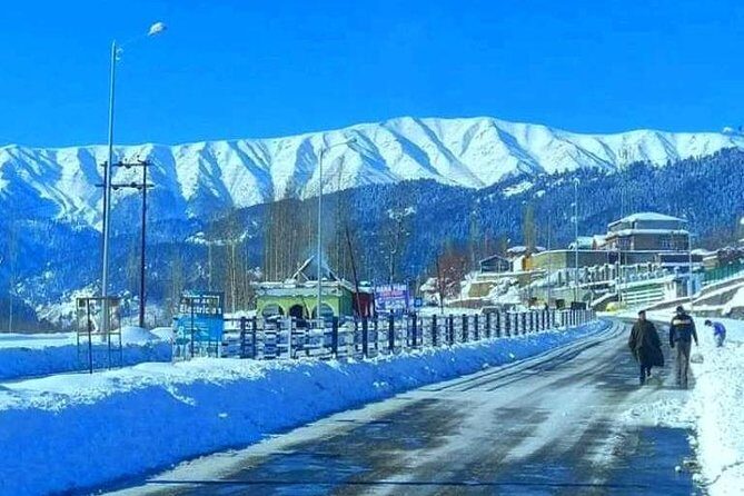 5-Days Kashmir tour includes Accommodation and Private Transportation - Exploring the Itinerary: A Day-by-Day Breakdown