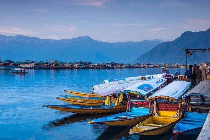 5-Days Kashmir tour includes Accommodation and Private Transportation - Who Is This Tour Best For?