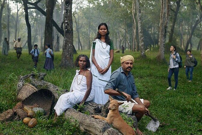 5 Days Kerala Tour with Private Car Houseboat Munnar and Thekkady - Exploring Kerala in 5 Days: A Practical and Authentic Tour