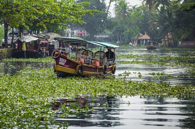 5 Days Kerala Tour with Private Car Houseboat Munnar and Thekkady - The Itinerary: A Closer Look