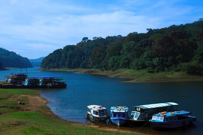 5 Days Luxury Kerala Tour with Houseboat Experience - An Introduction to the Kerala Experience