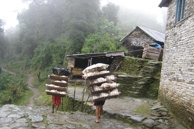 5 Days Mardi Himal Base Camp Trek - Analyzing the Price and Value