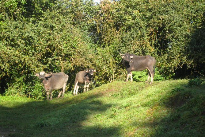 5 Days Mardi Himal Base Camp Trek - Who Should Consider This Trek?