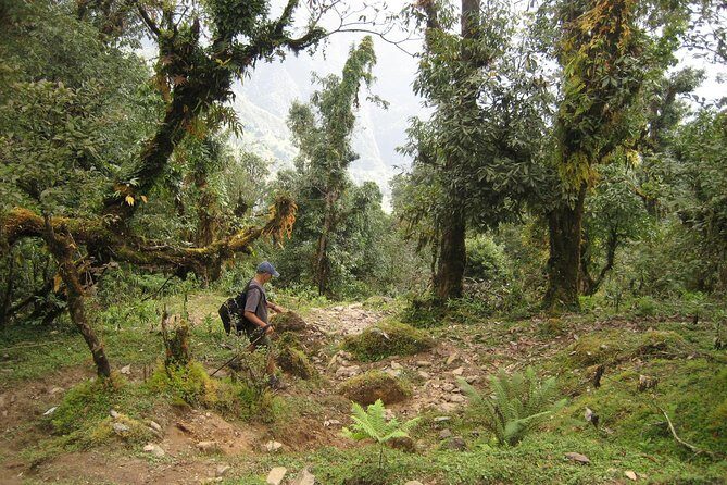 5 Days Mardi Himal Base Camp Trek - Frequently Asked Questions