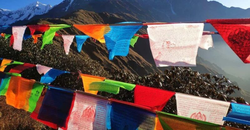 5 Days Mardi Himal Trek - An Authentic Himalayan Experience in Just 5 Days